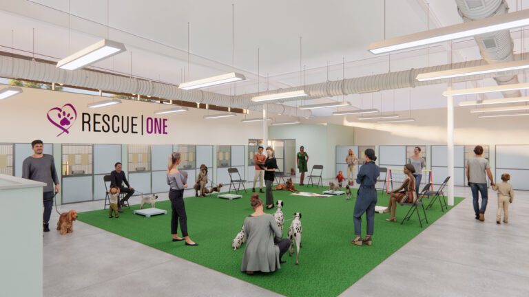 Rescue One - N·FORM Architecture